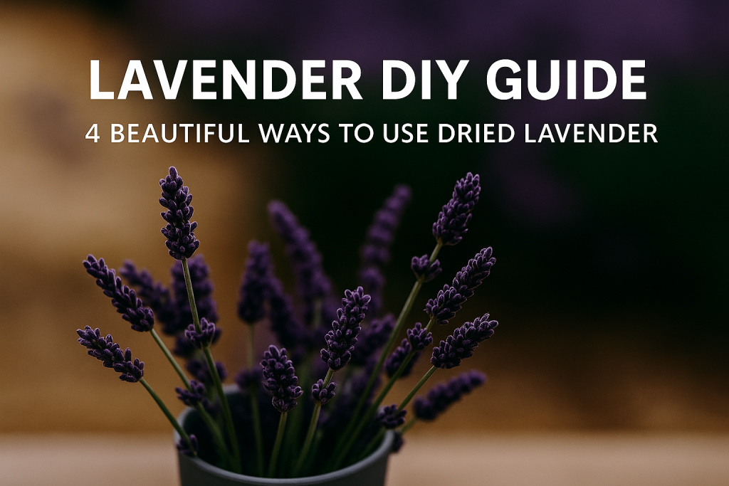 Lavender DIY Guide: 4 Beautiful Ways to Use Dried Lavender at Home