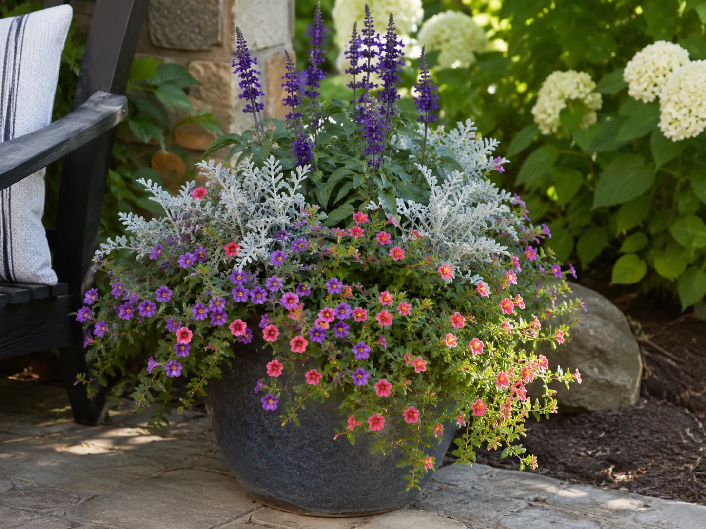 Calibrachoa Care: Fix Yellow Leaves & Get More Blooms